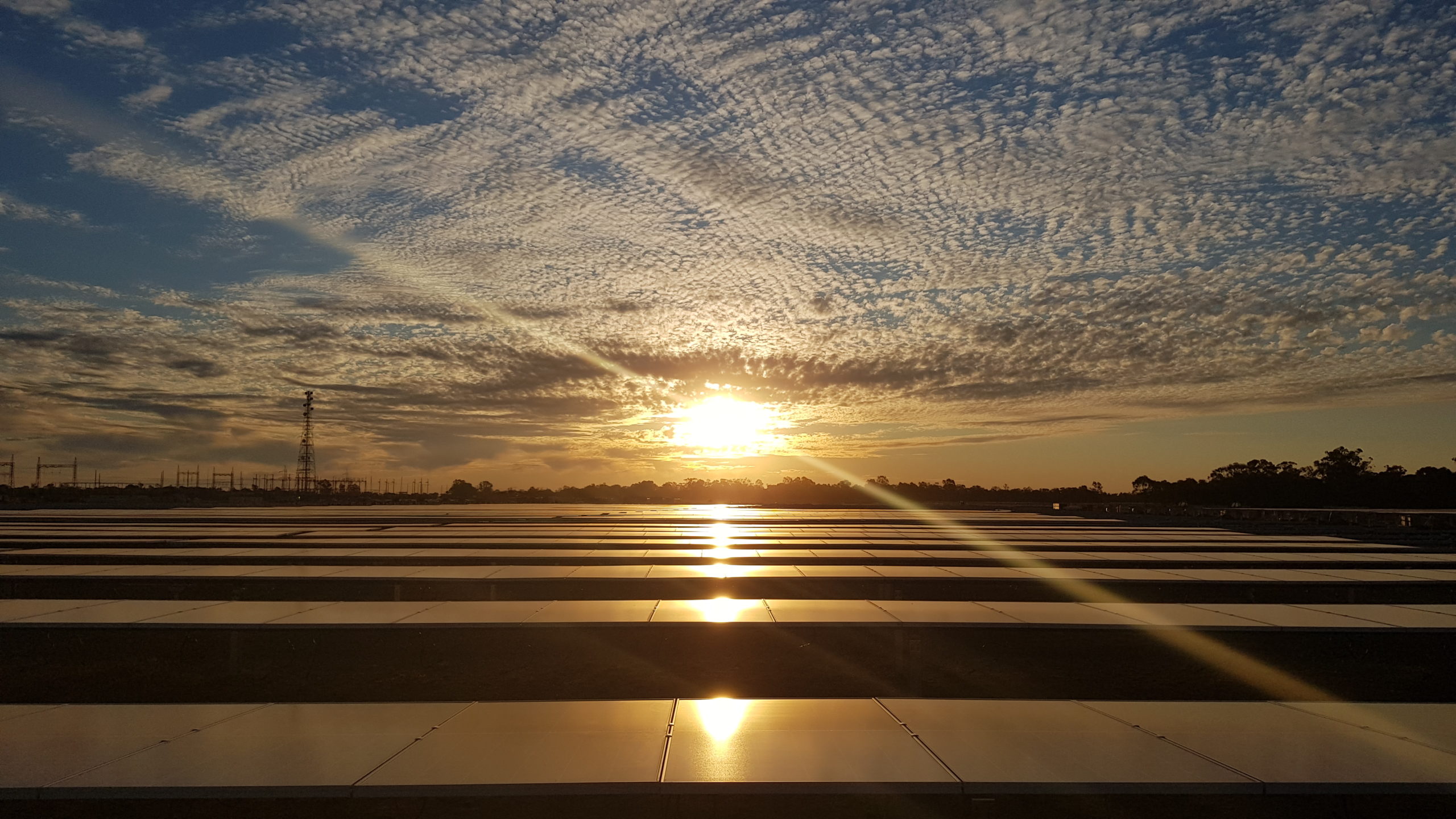 Octopus Investments and Edify Energy finance new $450 million solar ...